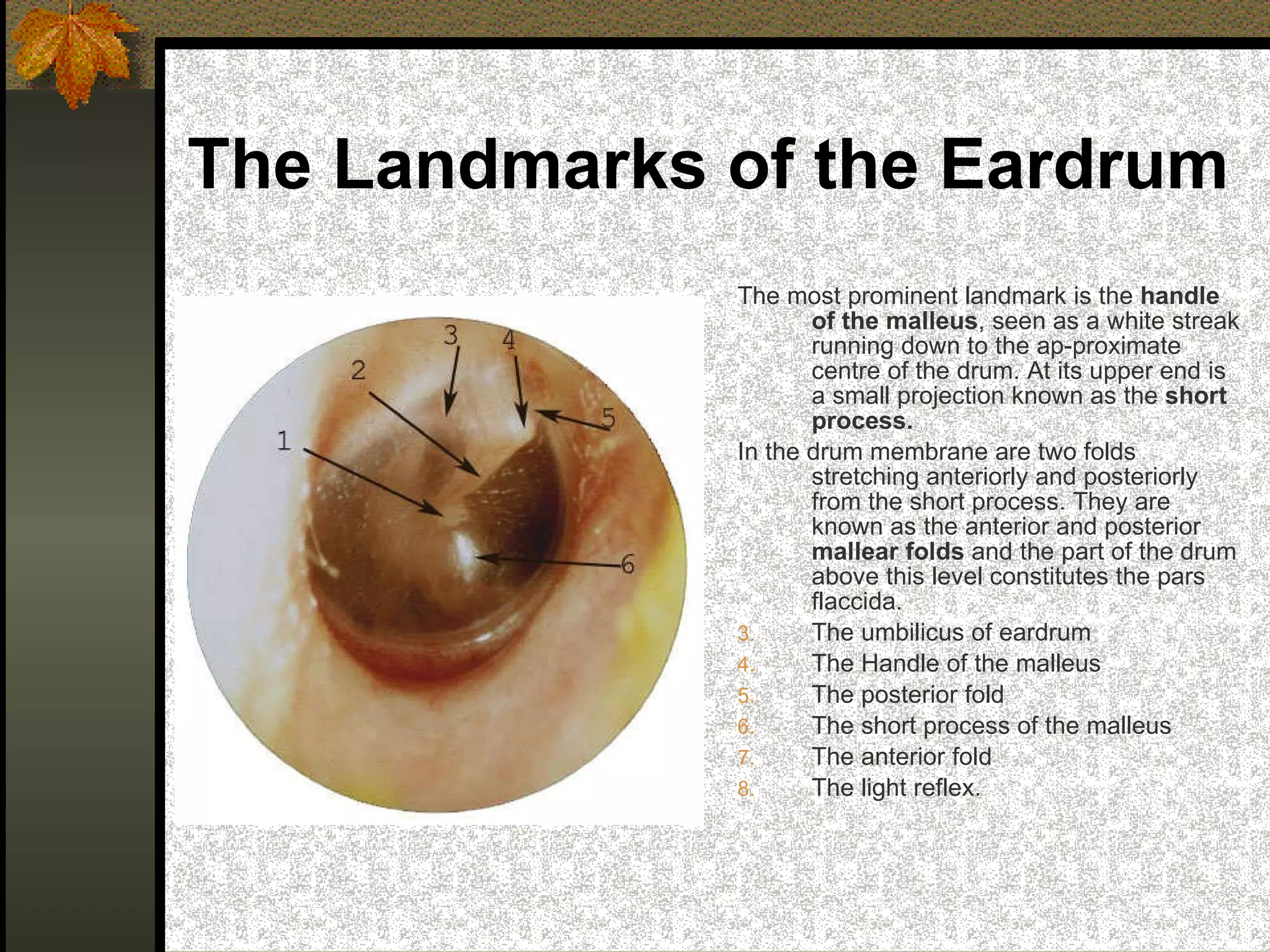 Anatomy and physiology of ENT organs | PPT