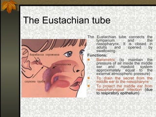 Anatomy and physiology of ENT organs | PPT