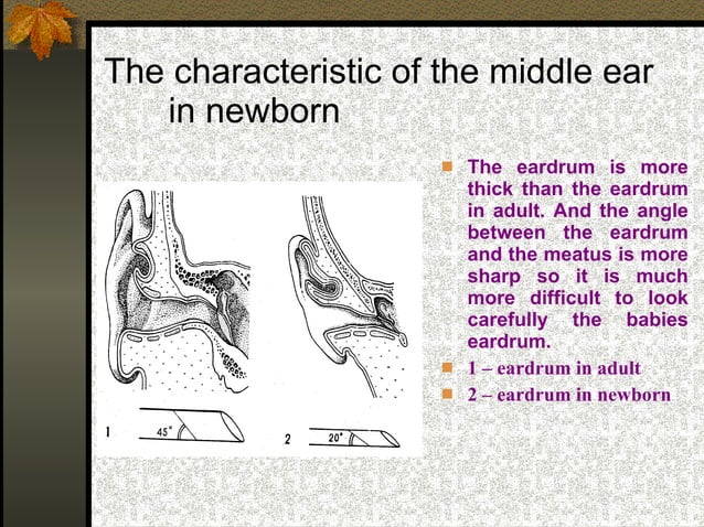 Anatomy and physiology of ENT organs | PPT