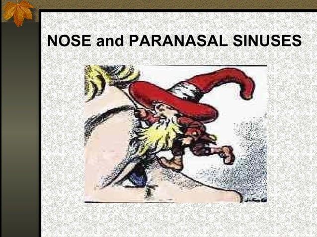 Anatomy and physiology of ENT organs | PPT