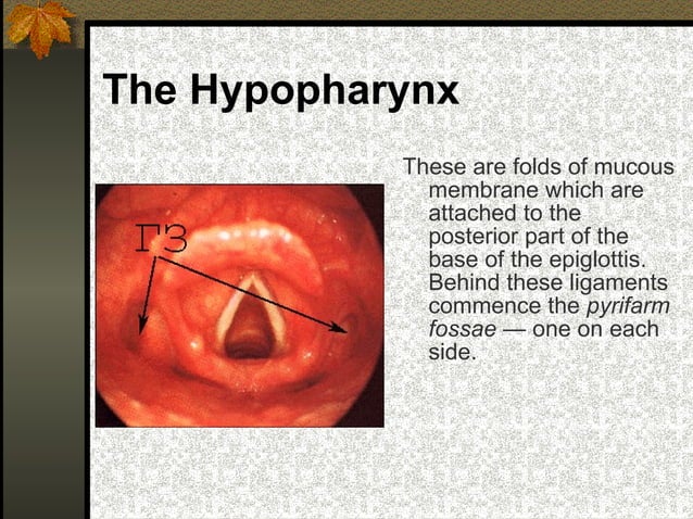 Anatomy and physiology of ENT organs | PPT