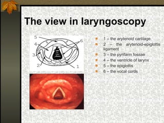Anatomy and physiology of ENT organs | PPT
