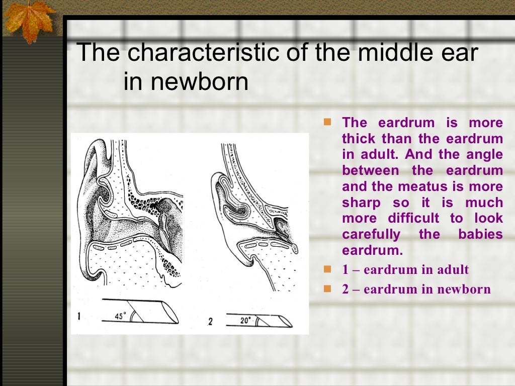 Anatomy and physiology of ENT organs