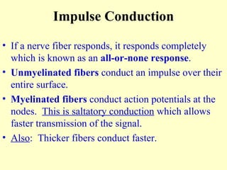 Anatomy | PPT | Free Download