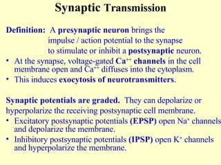 Anatomy | PPT | Free Download
