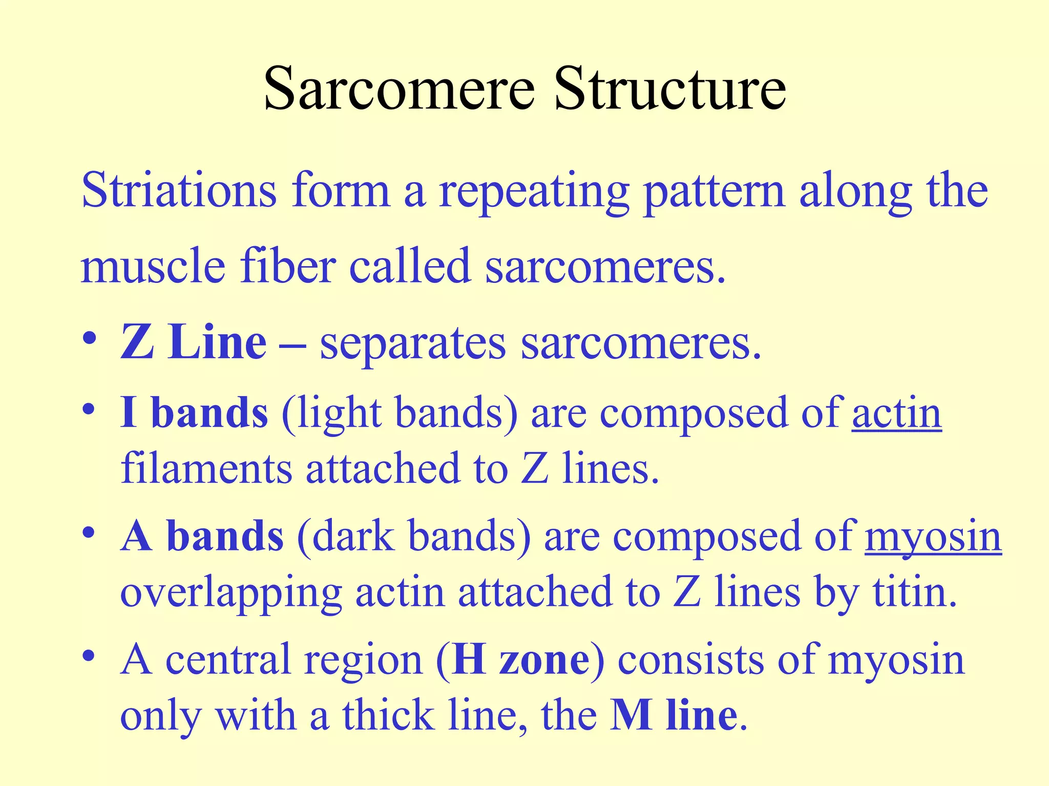 Anatomy | PPT