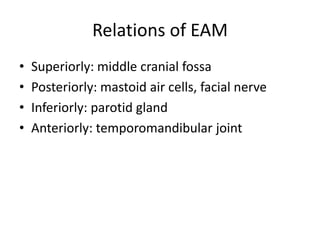 Anatomy of Ear | PPTX | Ear, Nose and Throat Conditions | Diseases and ...