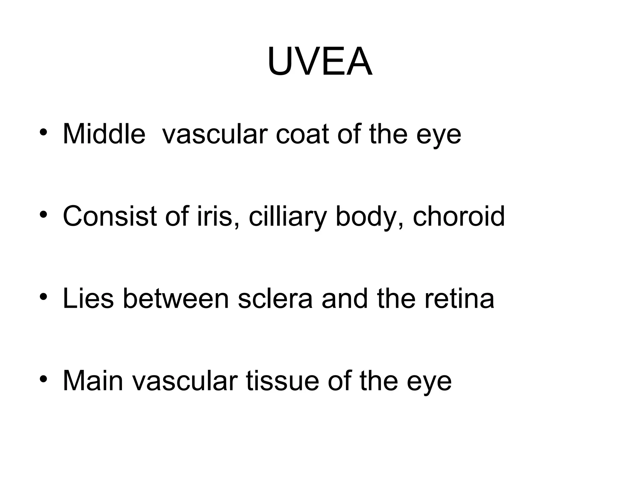 Anatomy Of The Eye | PPT | Eye and Vision Conditions | Diseases and ...