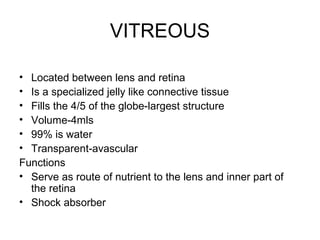 Anatomy Of The Eye | PPT