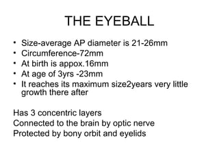 Anatomy Of The Eye | PPT