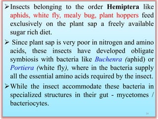 insect cellular micro-organisms and their roles | PPTX