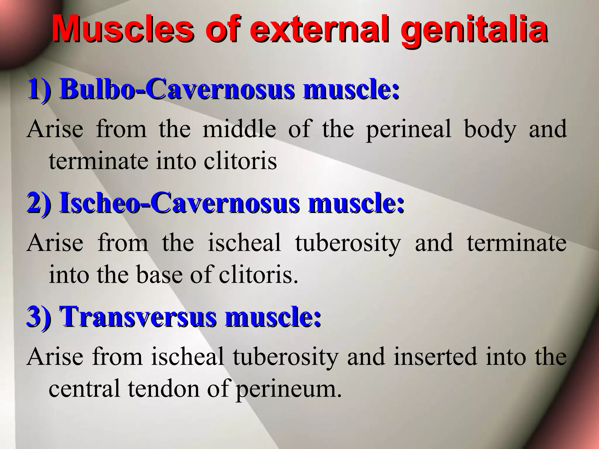 Anatomy of The Female Genital Tract | PPS