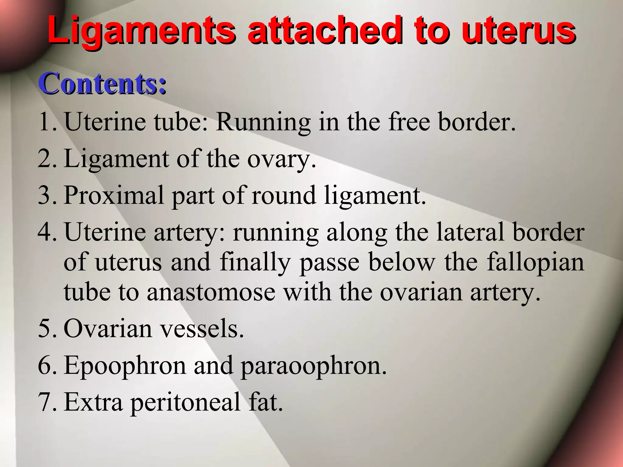 Anatomy of The Female Genital Tract | PPS
