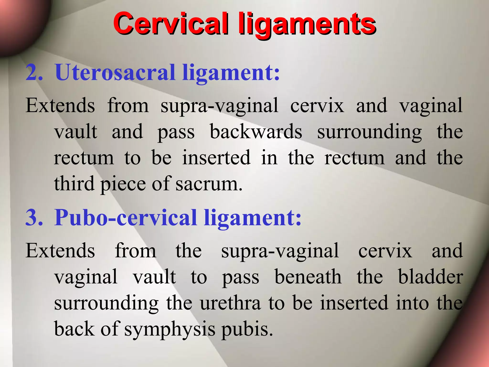 Anatomy of The Female Genital Tract | PPS
