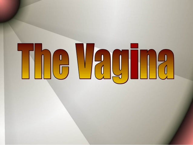 Anatomy of The Female Genital Tract