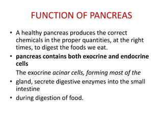 Anatomy.pancreas | PPTX | Endocrine and Metabolic Diseases | Diseases ...