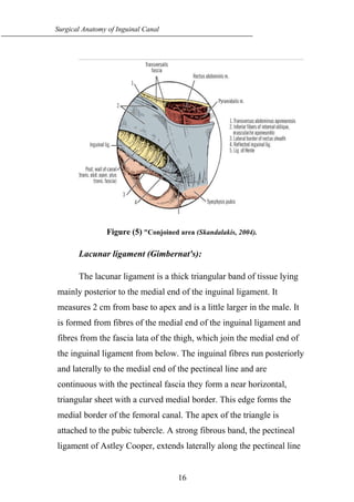 surgical anatomy of inguinal canal | DOC