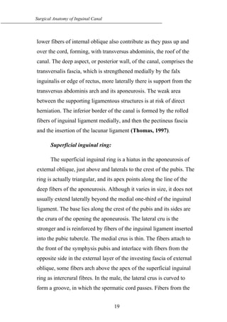 surgical anatomy of inguinal canal | PDF