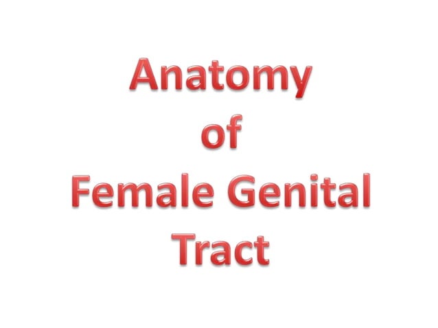 Anatomy of female genital tract | PPTX