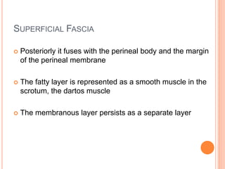 Anatomy | PPTX