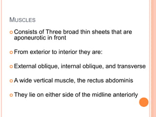 Anatomy | PPTX