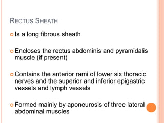 Anatomy | PPTX