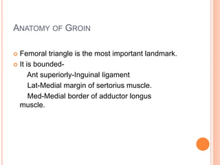 Anatomy | PPTX