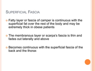 Anatomy | PPTX
