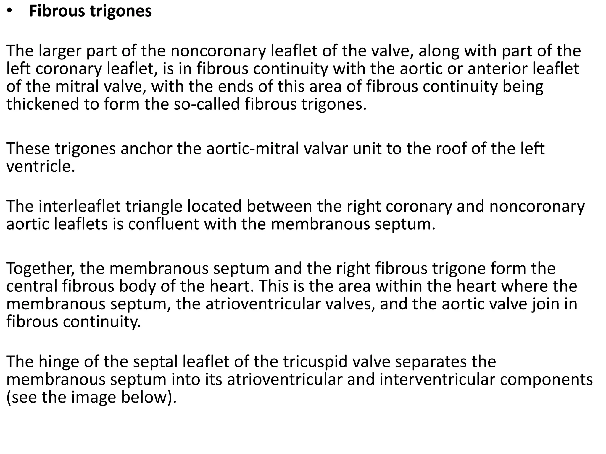 Anatomy of heart | PPTX