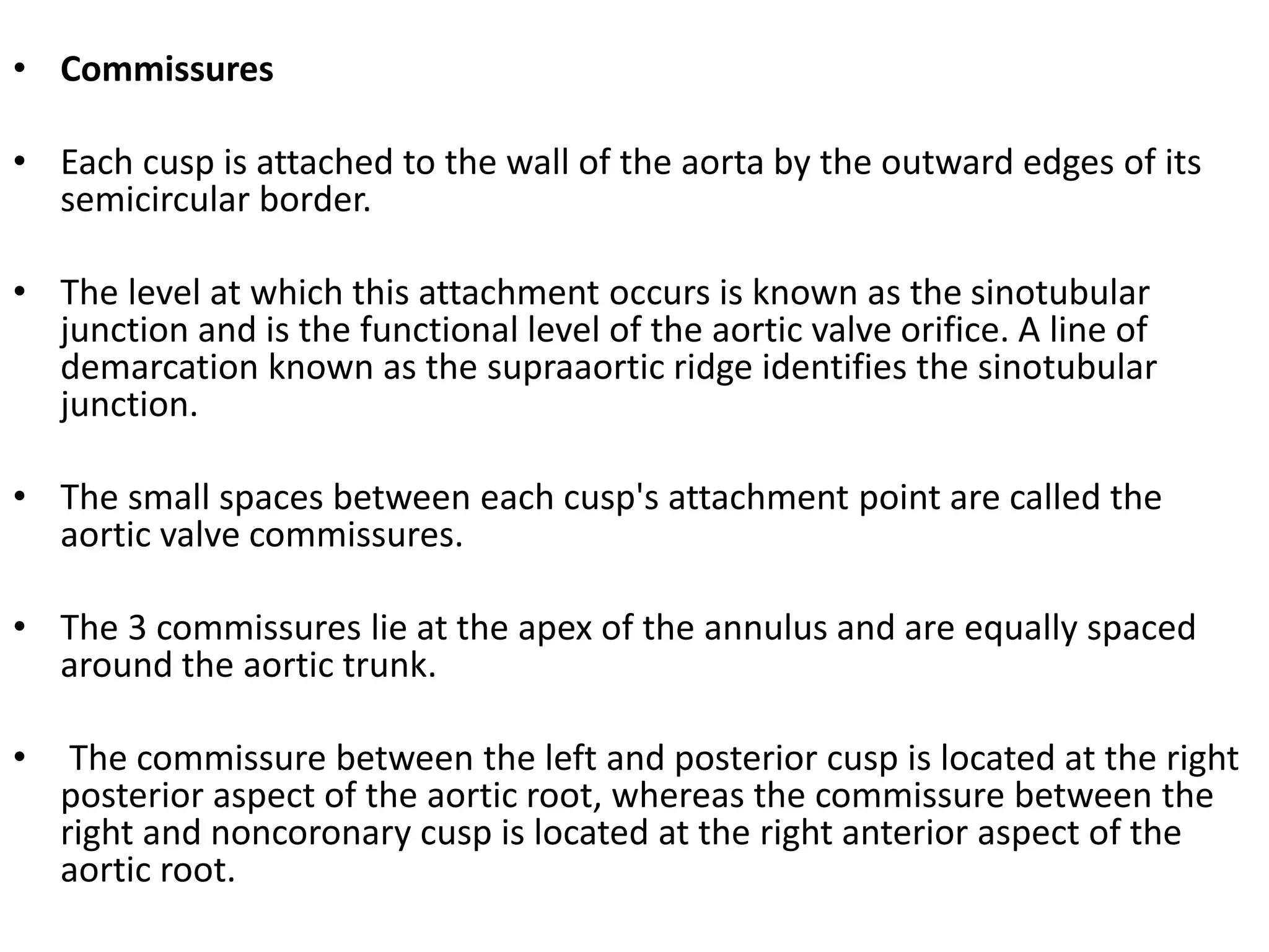 Anatomy of heart | PPTX