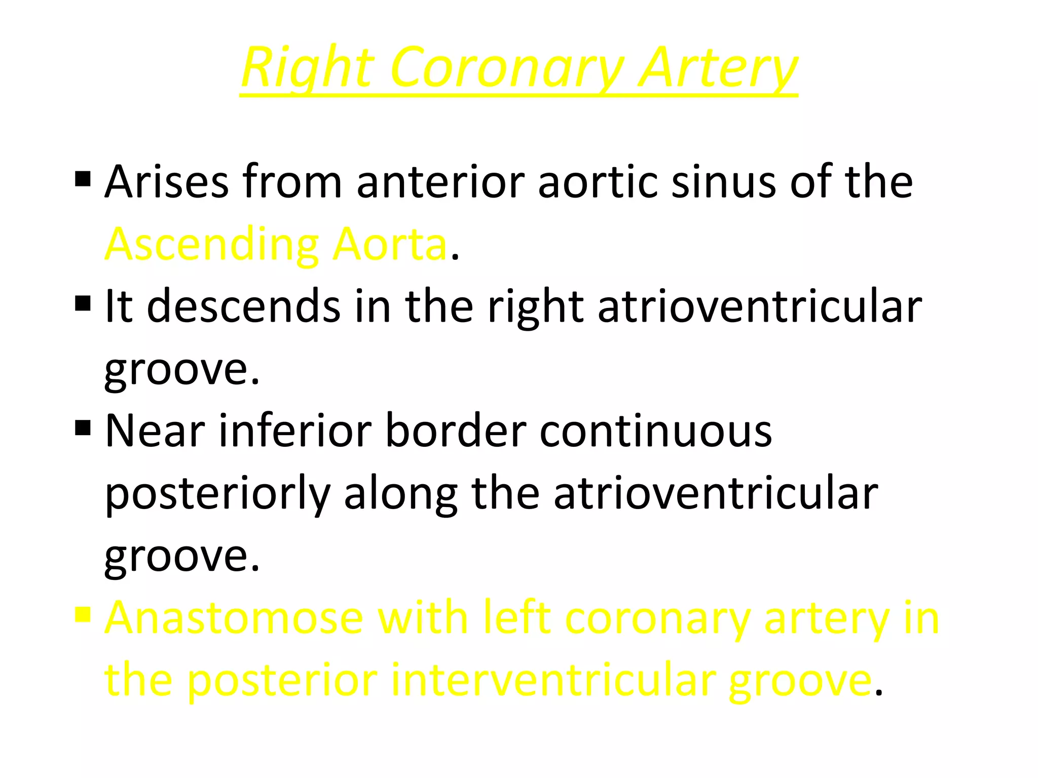 Anatomy of heart | PPTX