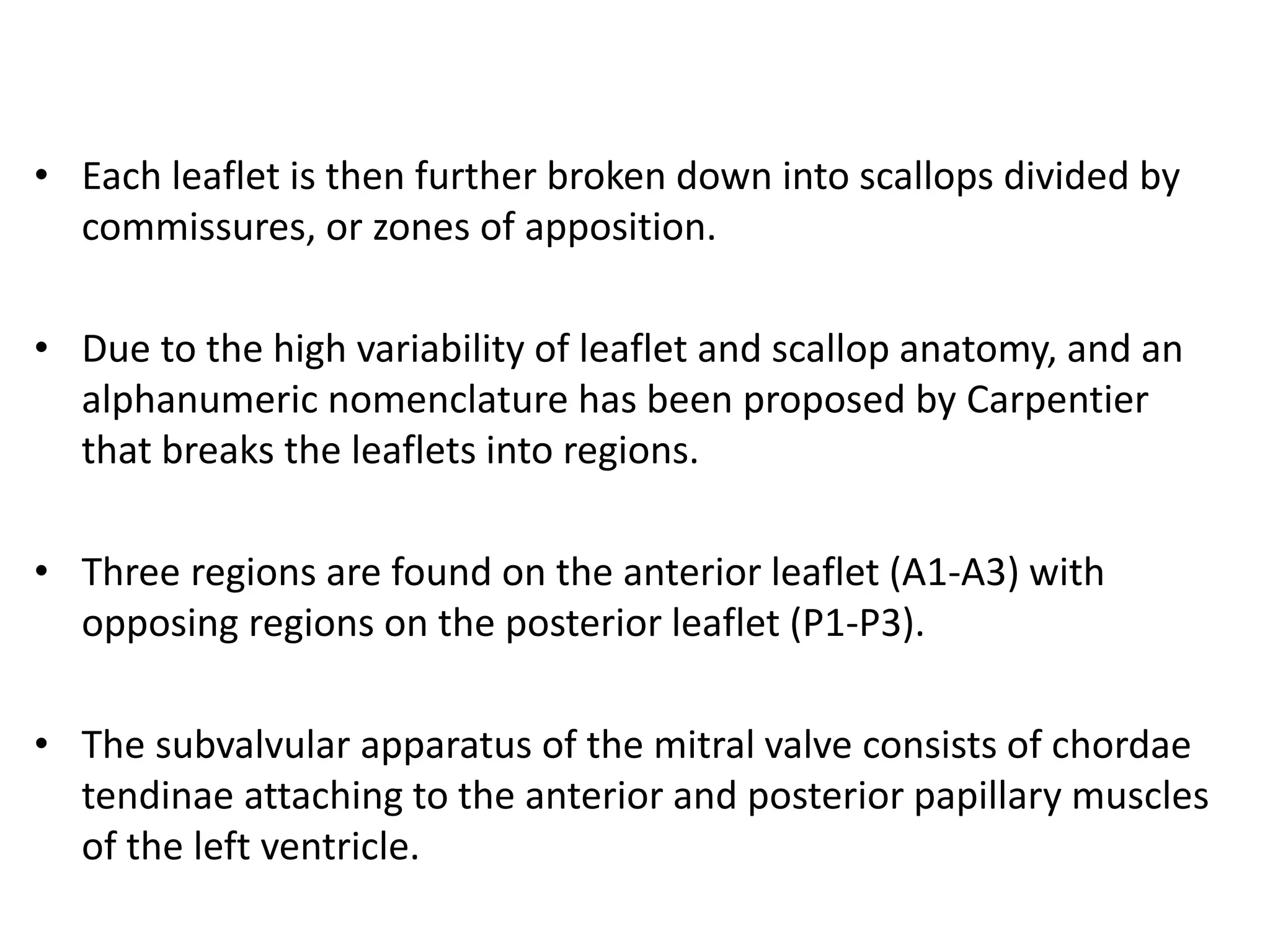 Anatomy of heart | PPTX