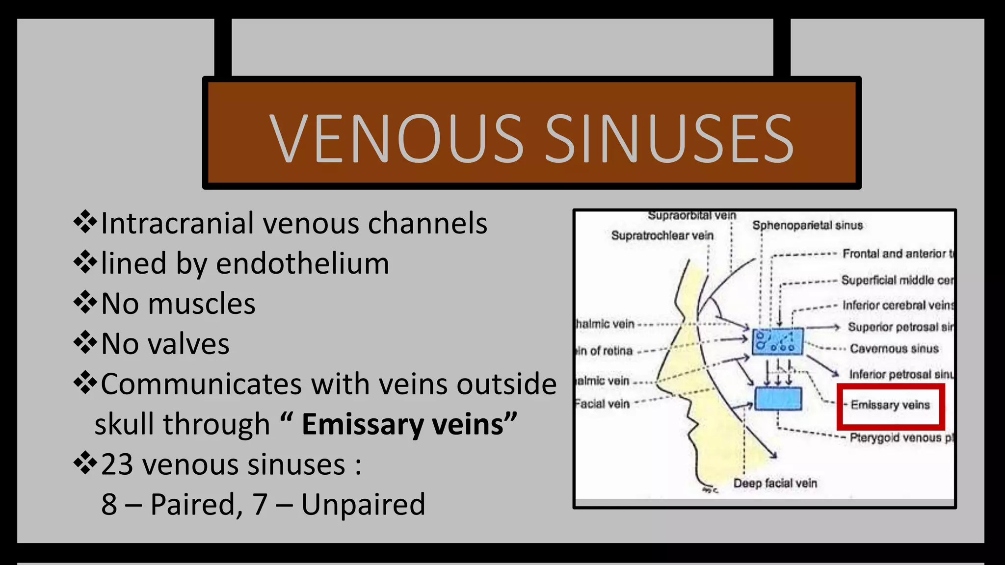 venous dural sinuses and cavenous venous sinus | PPT