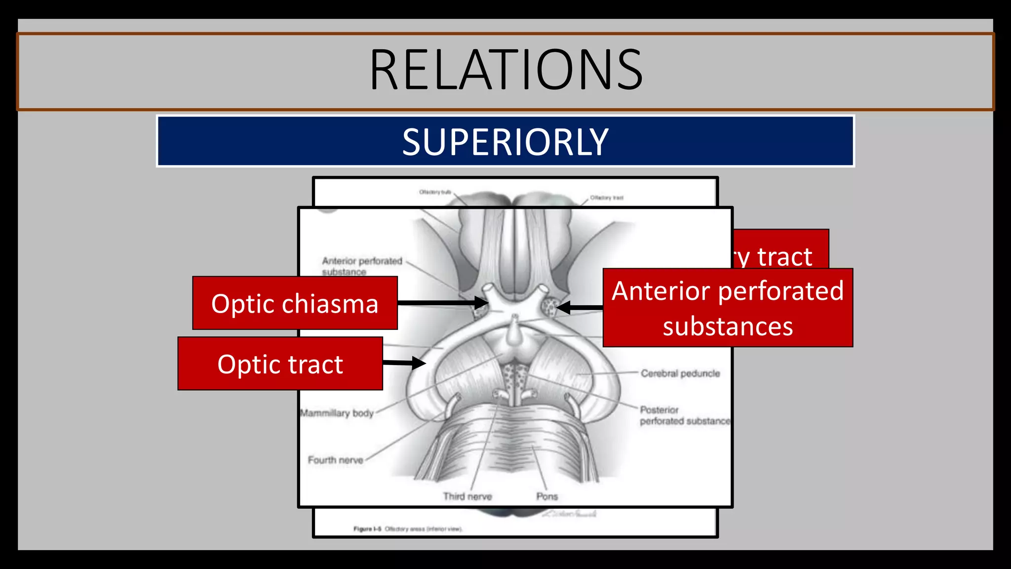 venous dural sinuses and cavenous venous sinus | PPT