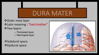 venous dural sinuses and cavenous venous sinus | PPT