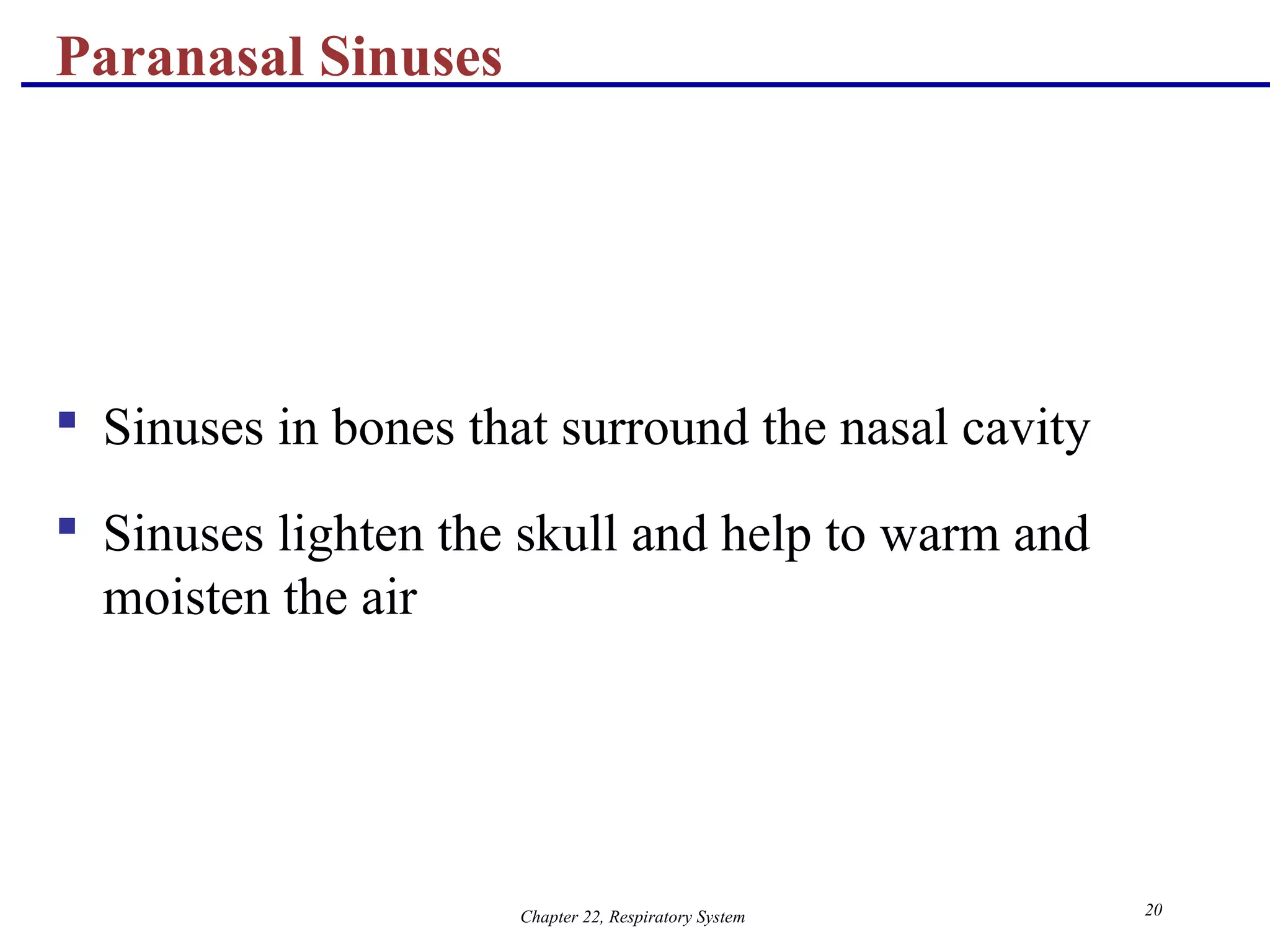 Anatomy of the respiratory system... | PPT