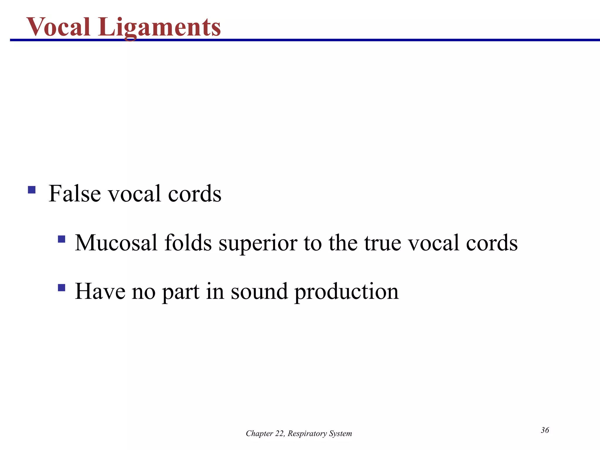 Anatomy of the respiratory system... | PPT