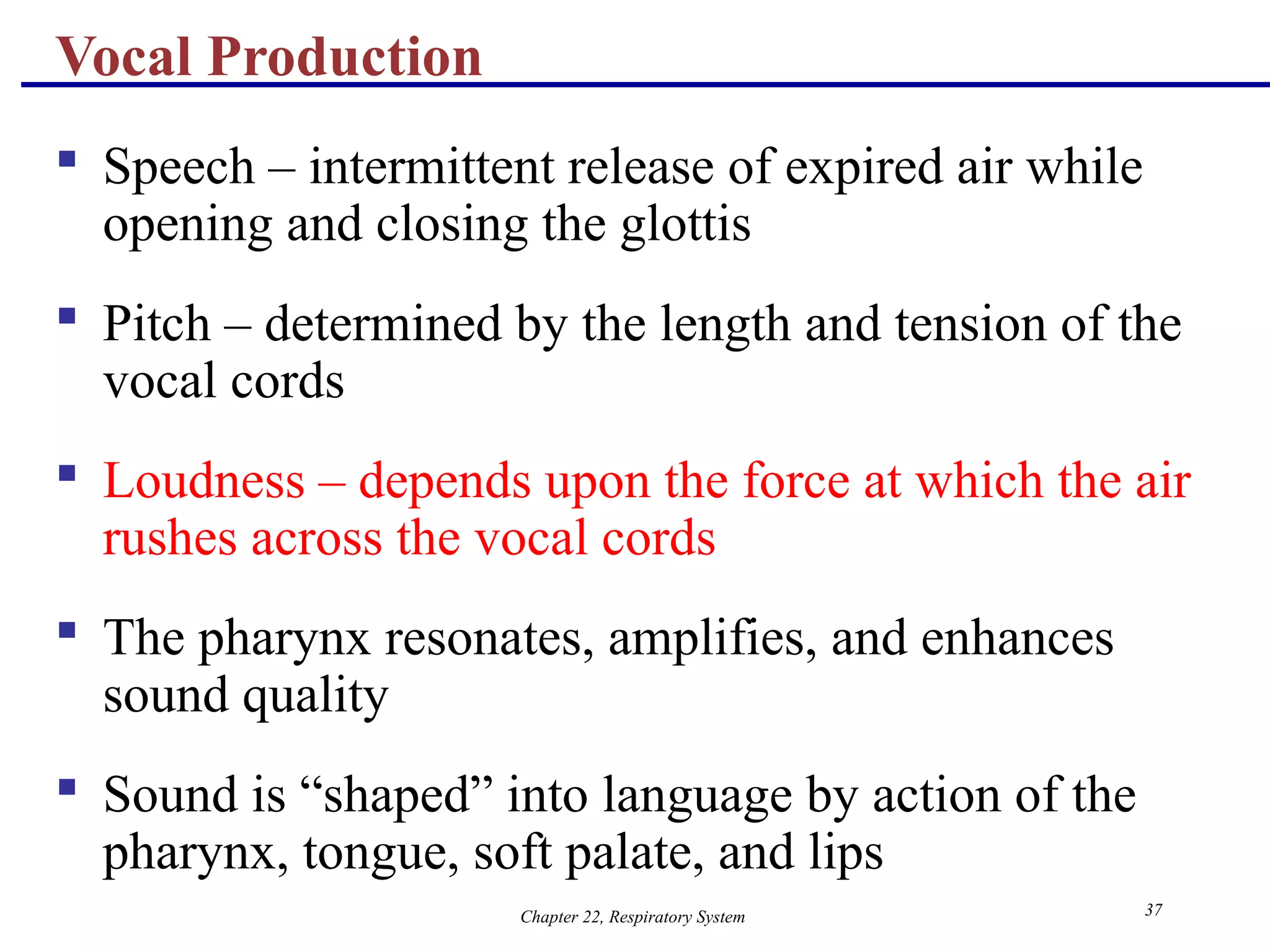 Anatomy of the respiratory system... | PPT
