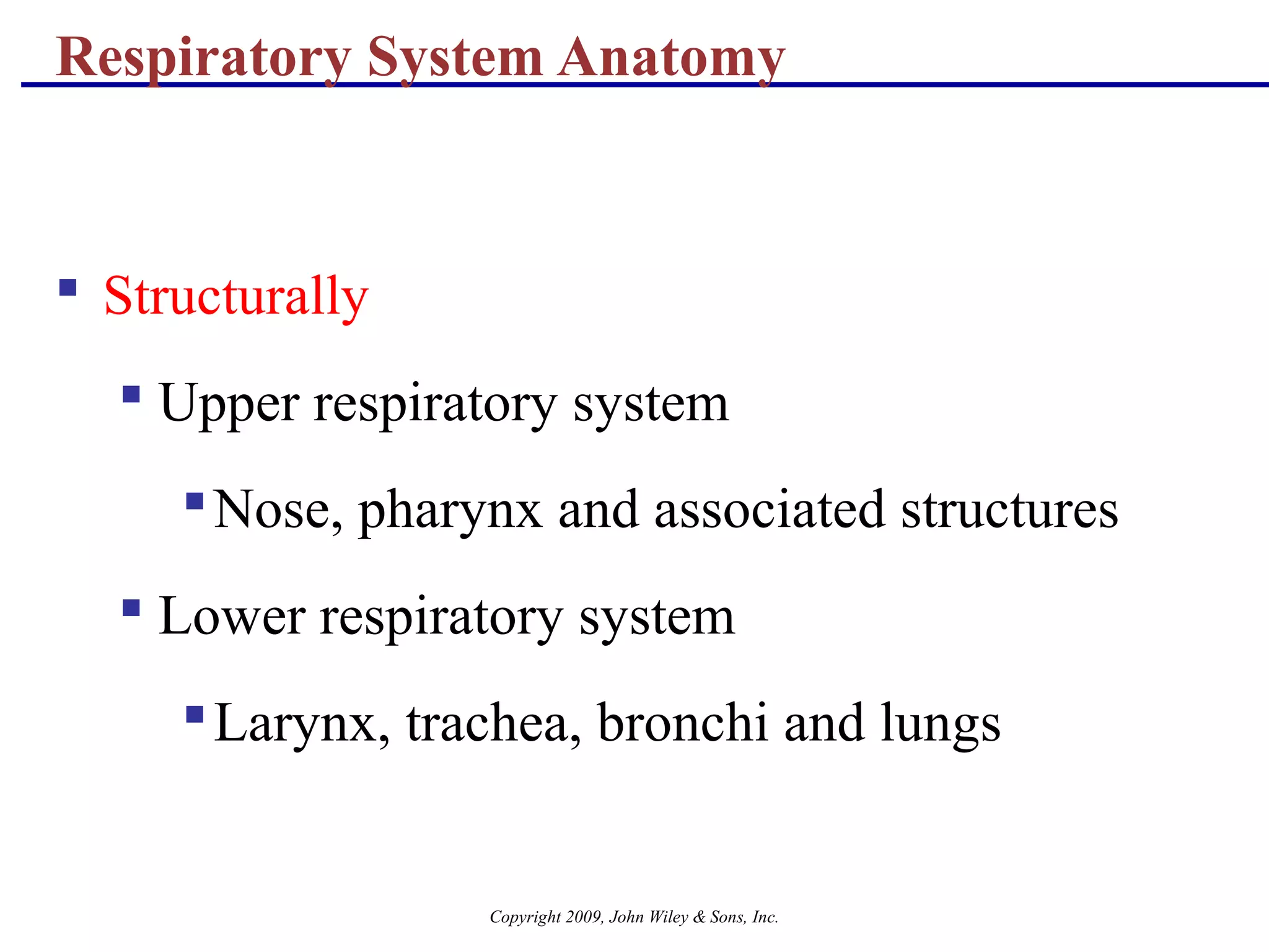 Anatomy of the respiratory system... | PPT