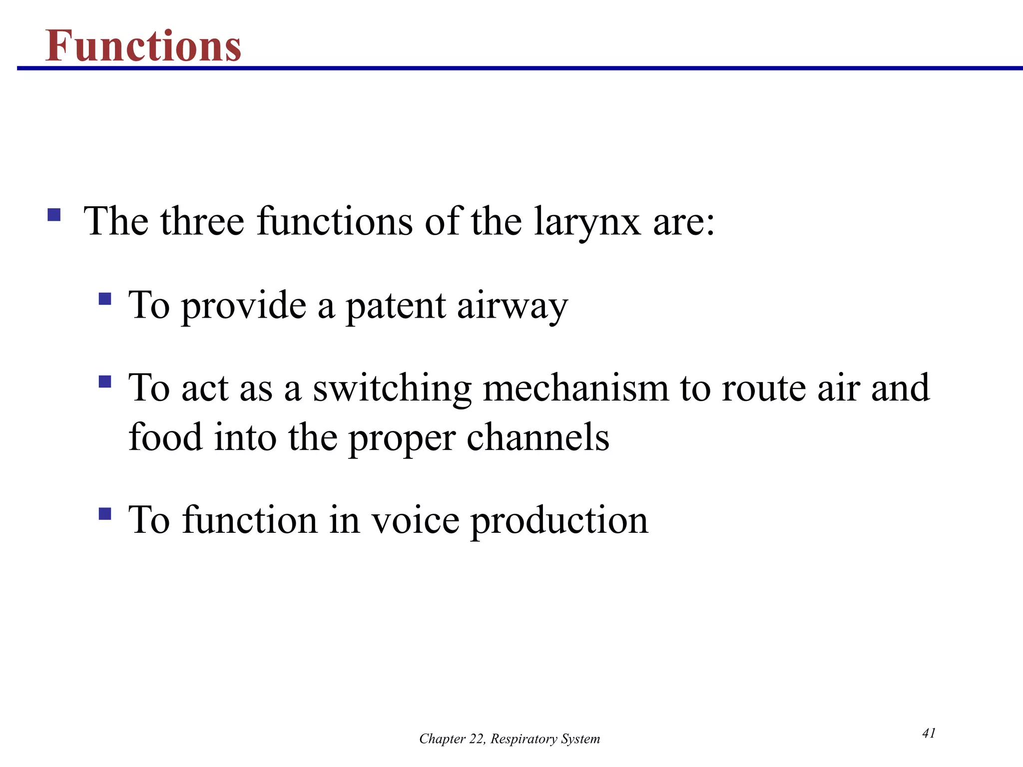 Anatomy of the respiratory system... | PPT