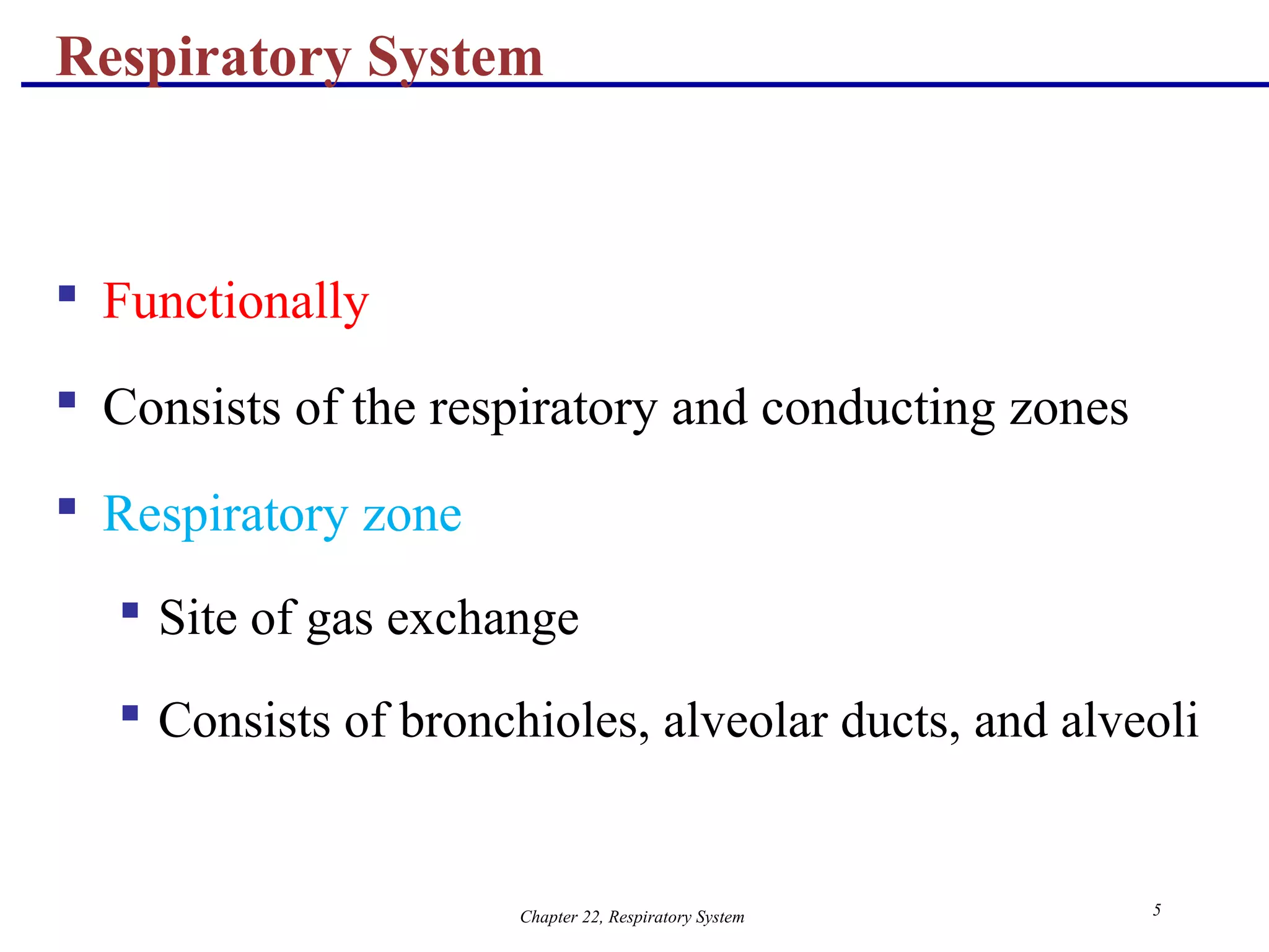 Anatomy of the respiratory system... | PPT