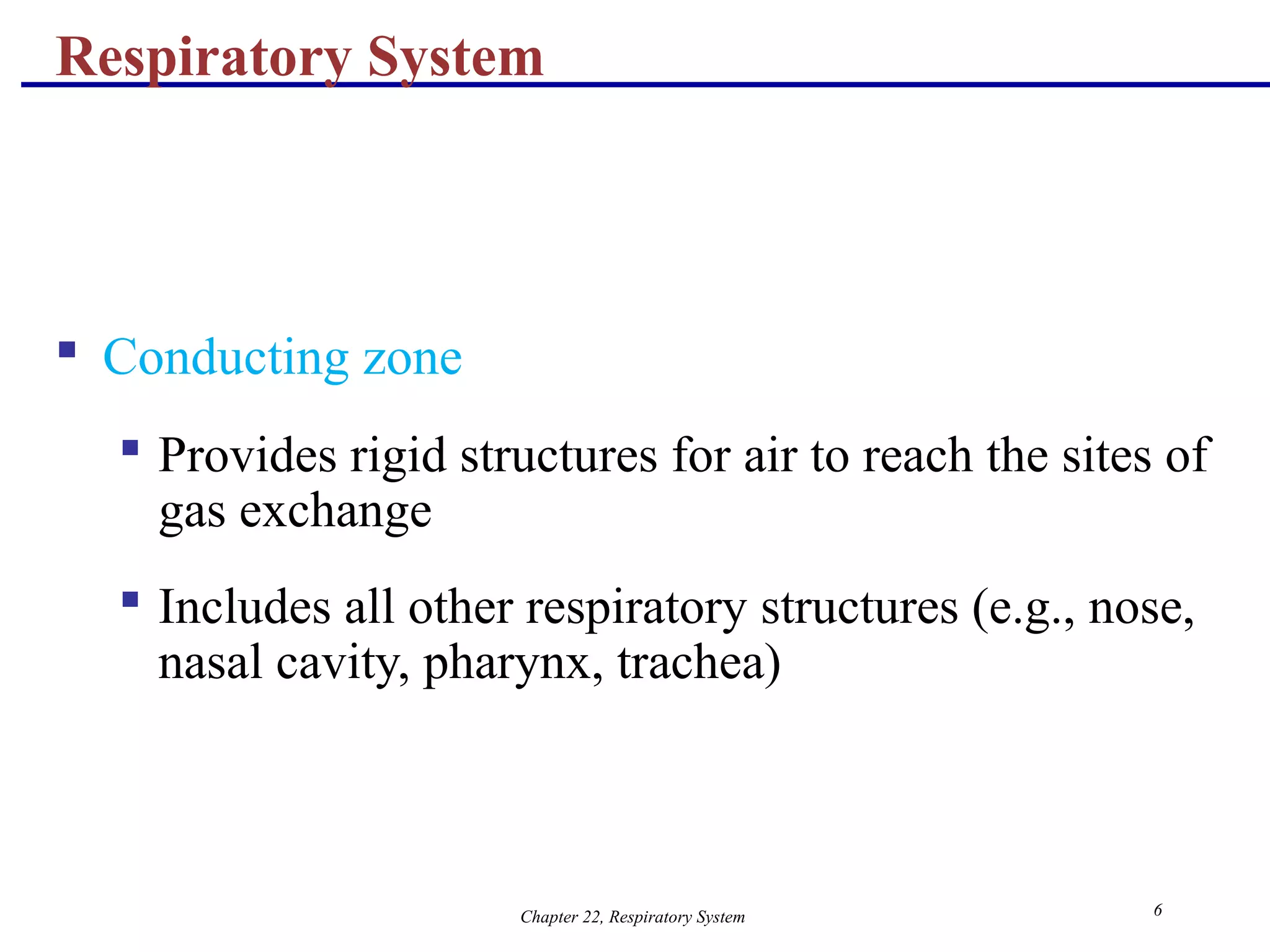 Anatomy of the respiratory system... | PPT