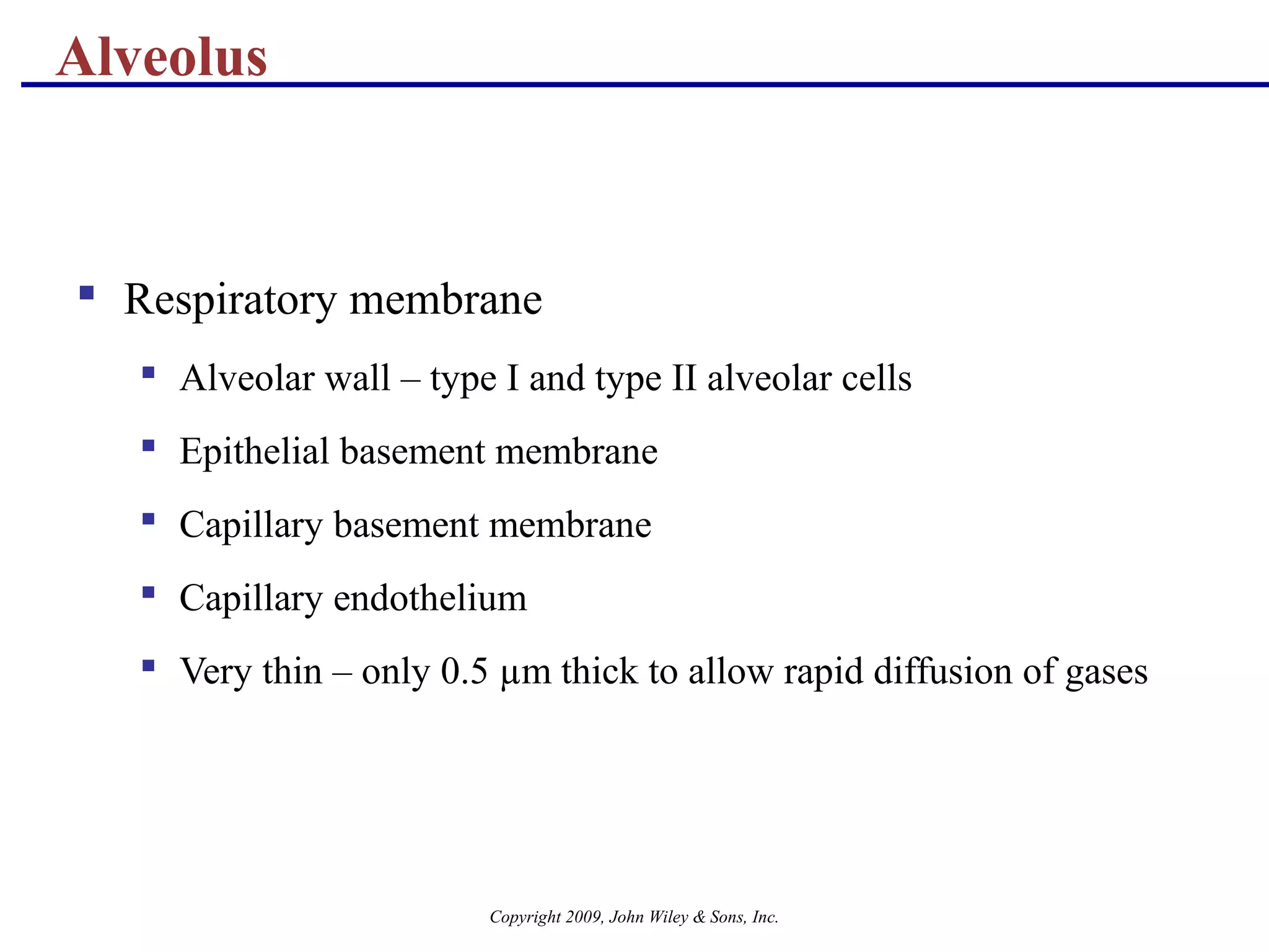 Anatomy of the respiratory system... | PPT
