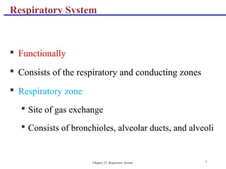 Anatomy of the respiratory system... | PPT