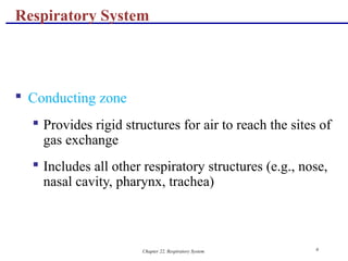 Anatomy of the respiratory system... | PPT
