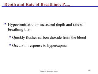 Anatomy of the respiratory system... | PPT