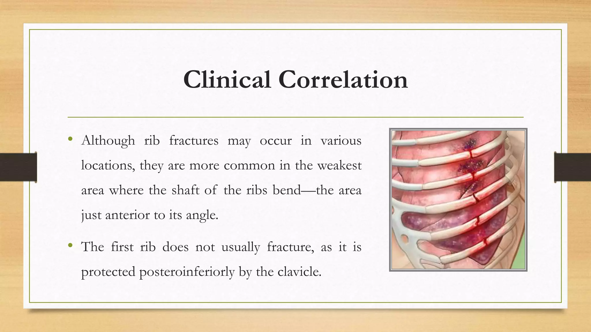 Anatomy of Thorax | PPTX
