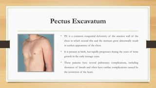 Anatomy of Thorax | PPTX