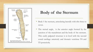 Anatomy of Thorax | PPTX