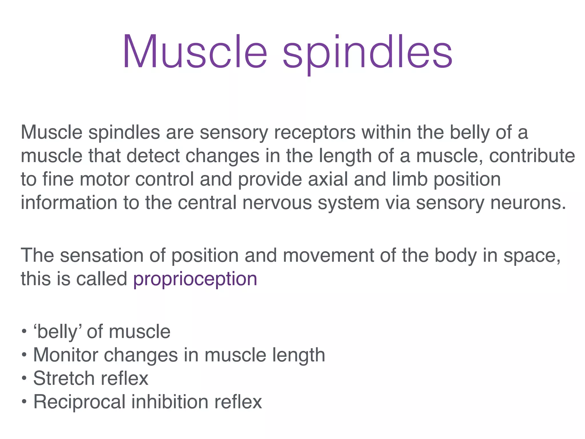 4 components of movement (anatomy) | PDF